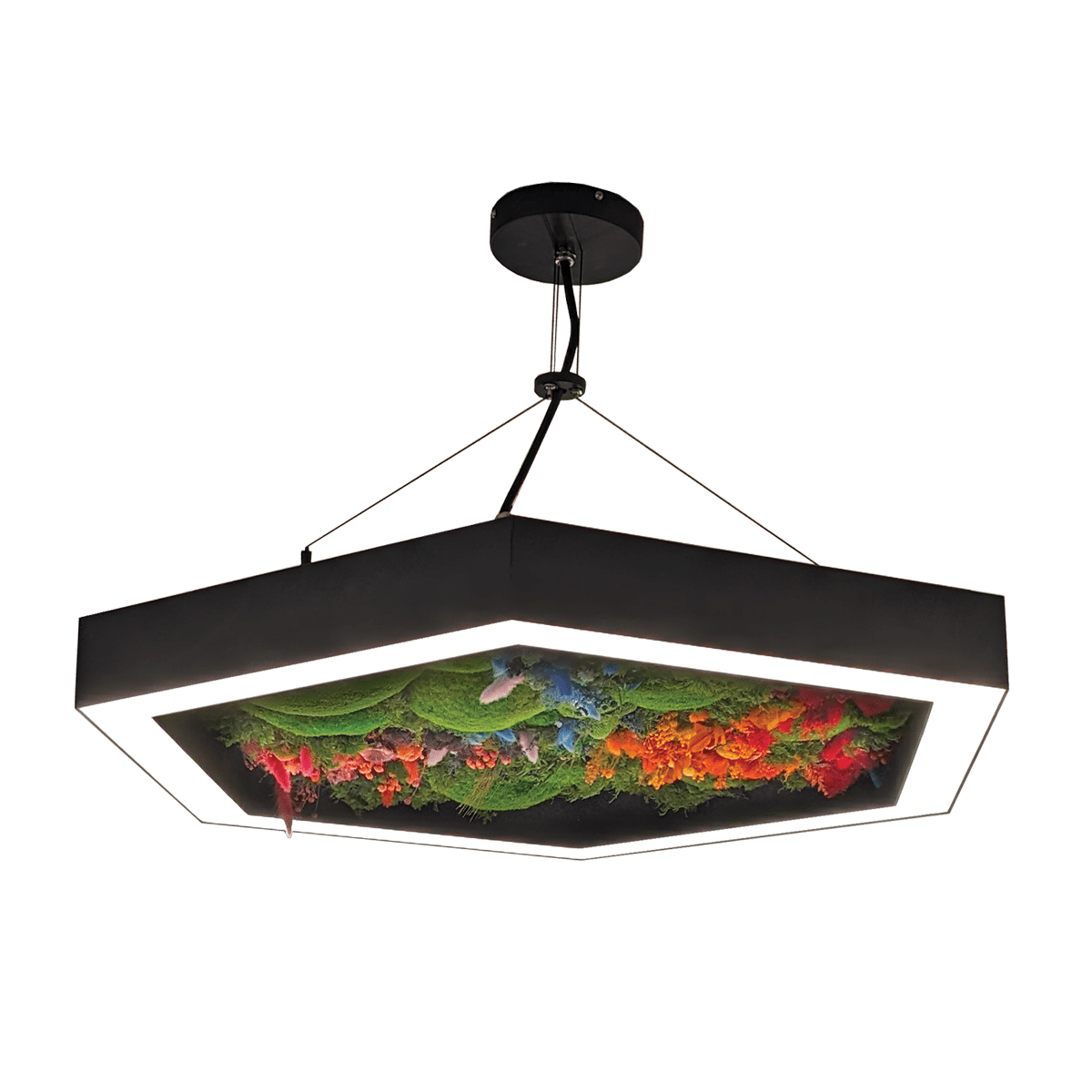 Biophilic Lighting – Linear Lights